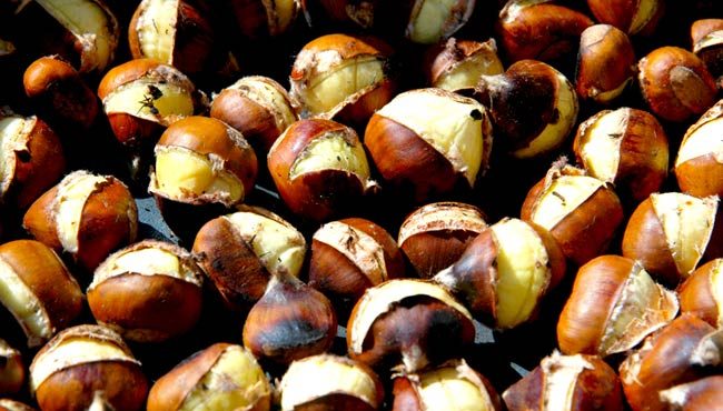 Kestane mevsimi açıldı