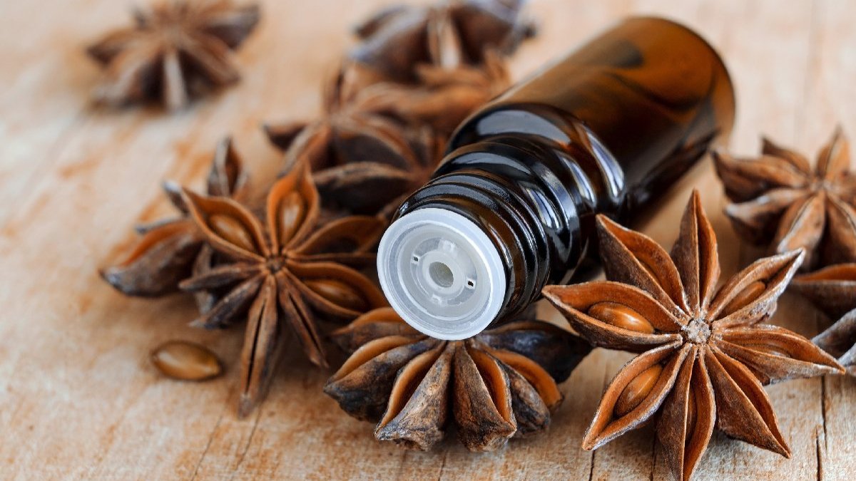 Anason nedir, anason faydaları neler?